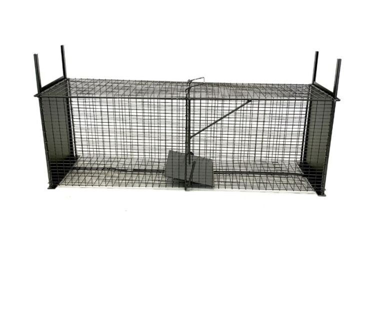 Les catégories de piège – Journal du chasseur