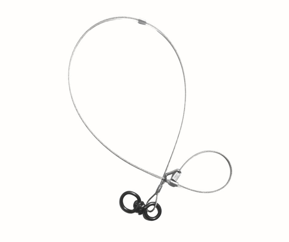 Comment piéger le renard ? – Journal du chasseur